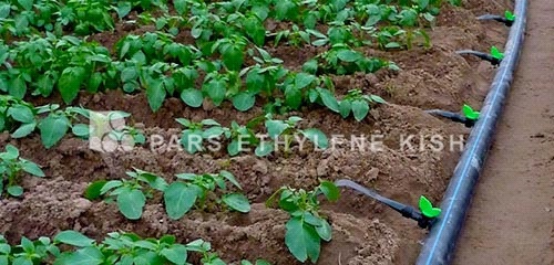 agricultural irrigation polyethylene pipe